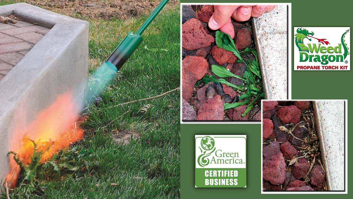 Does Flame Weeding Kill the Roots? – Flame Engineering