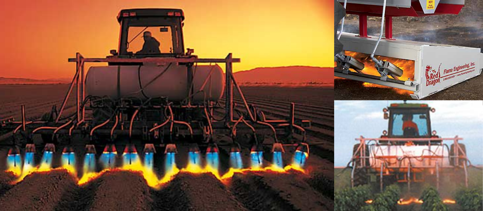 Propane torch kits to burn weeds organically with no chemical use ...